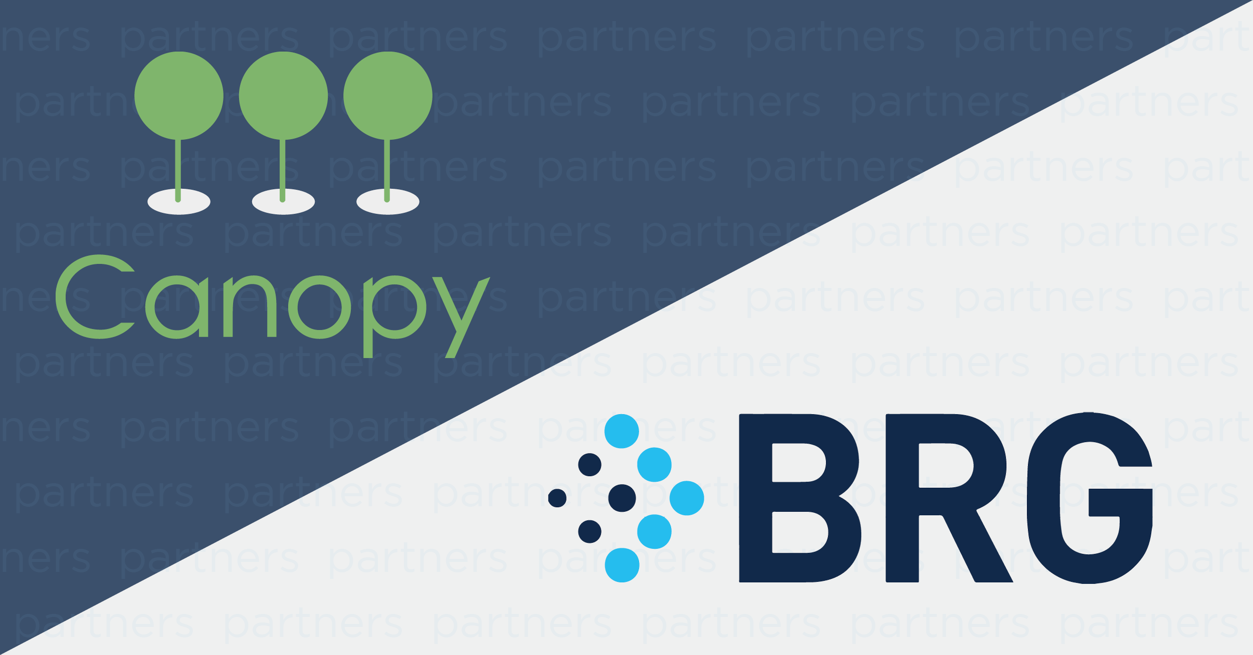 Berkeley Research Group, a Canopy Software Partner