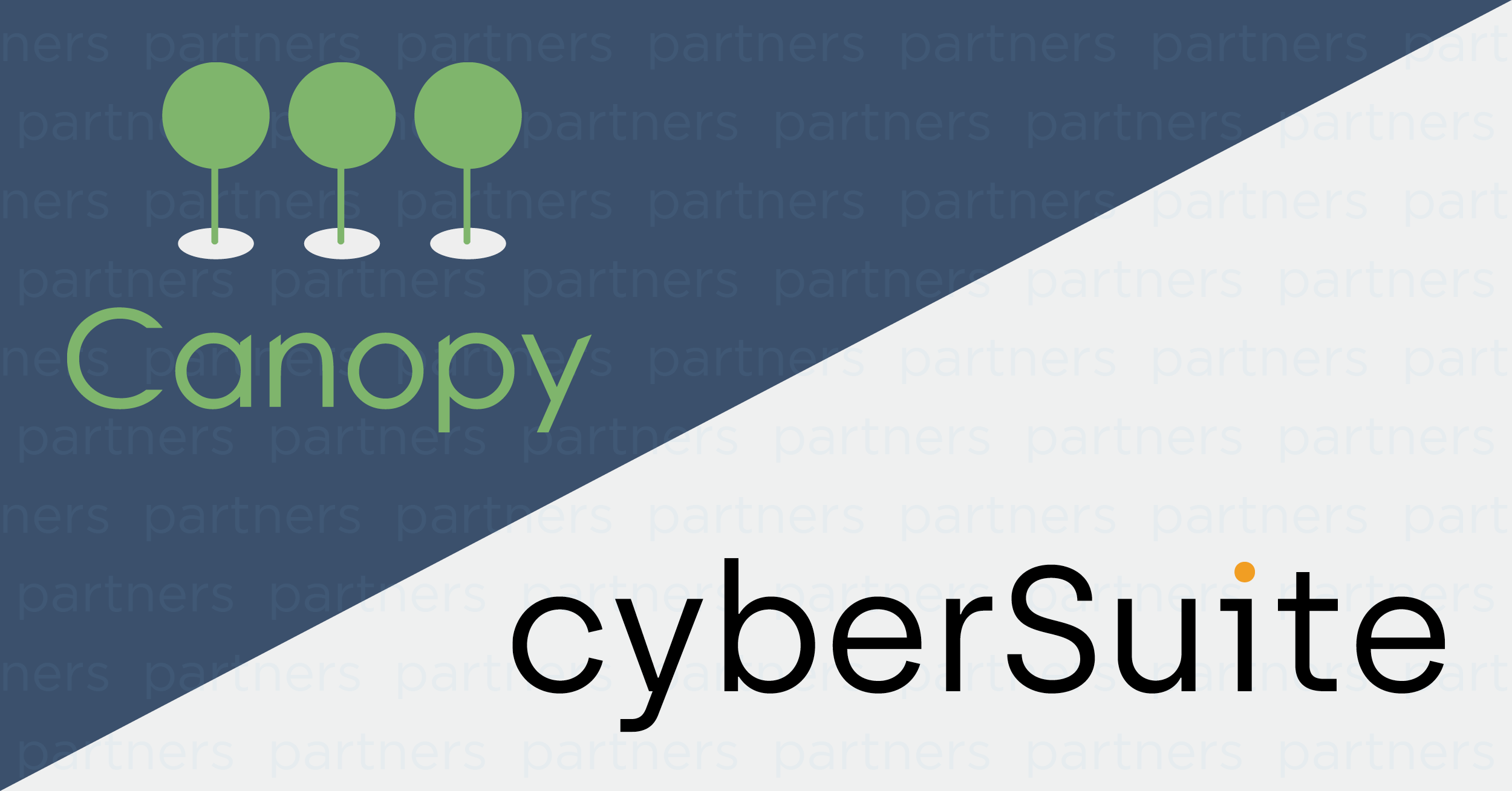 CyberSuite, a Canopy Software Partner