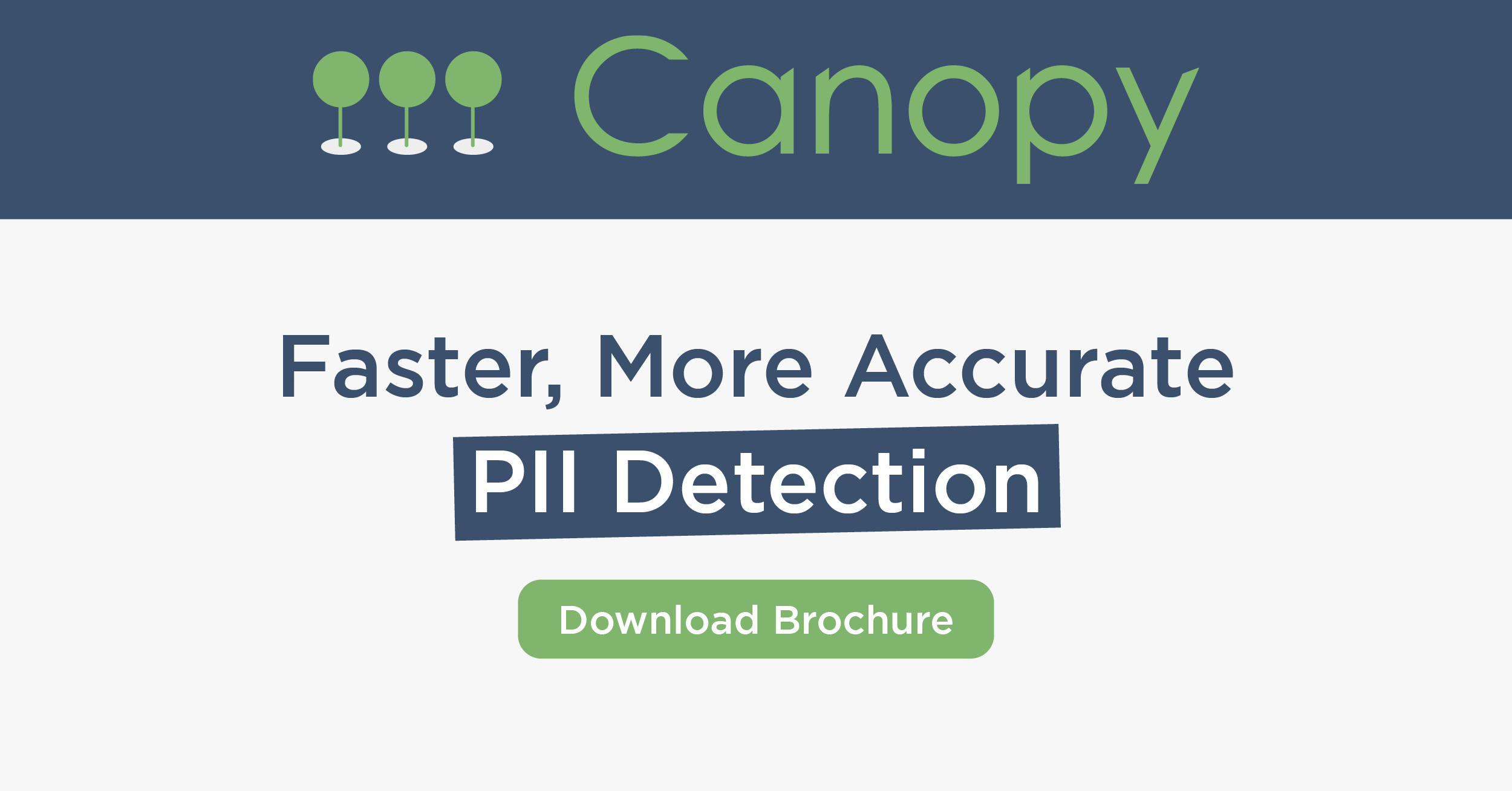 Faster, More Accurate PII Detection | Canopy Software